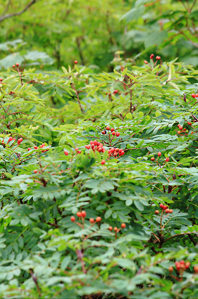 유토이미지 | 상세페이지 | 베이직샵 | 16084592 | 36370-0000129