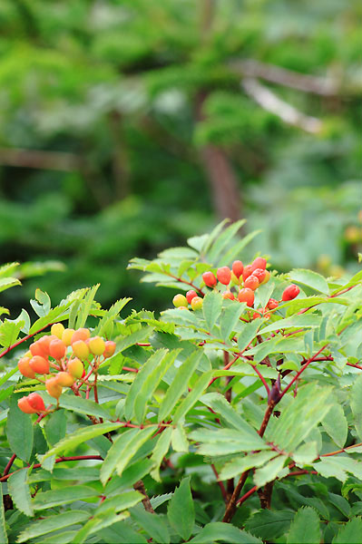 유토이미지 | 36370-0000130