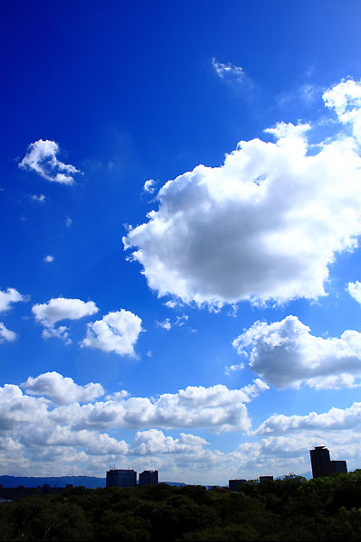 유토이미지 | 36370-0000319