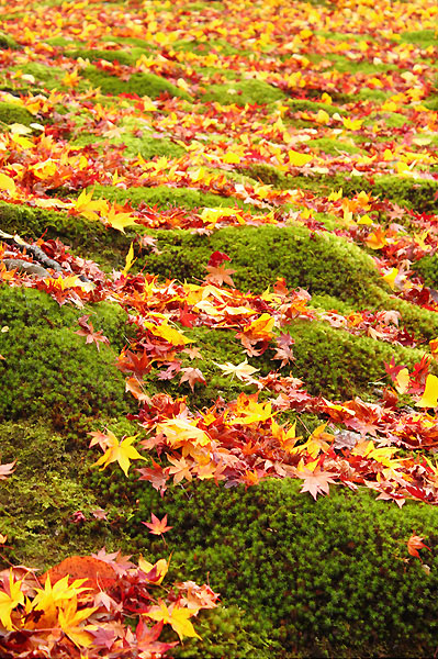 유토이미지 | 36370-0000394