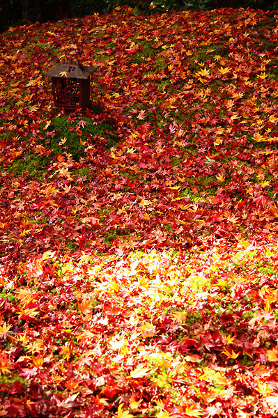 유토이미지 | 36370-0000426