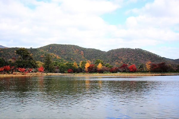 유토이미지 | 36370-0000432