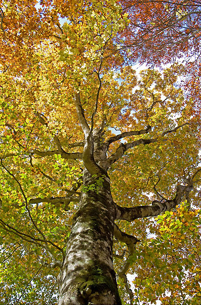 유토이미지 | 36437-0000097