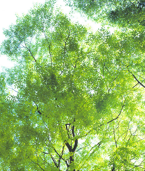 유토이미지 | 36452-0000054