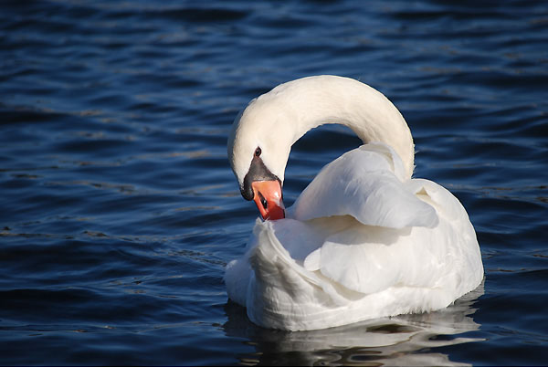 유토이미지 | 36467-0000009