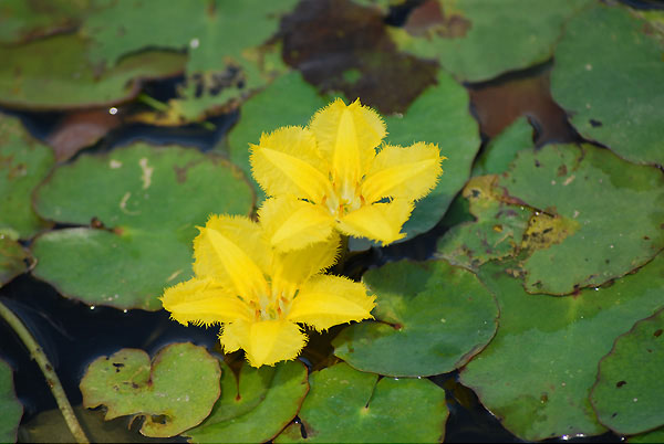 유토이미지 | 36467-0000037