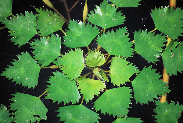 유토이미지 | 36467-0000131