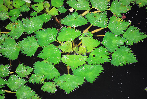 유토이미지 | 36467-0000134