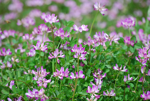 유토이미지 | 36467-0000188