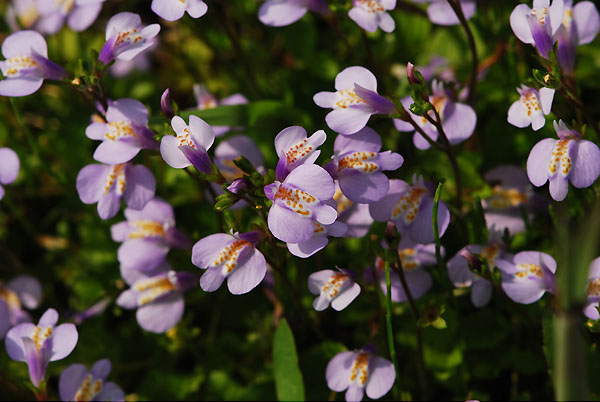 유토이미지 | 36467-0000452