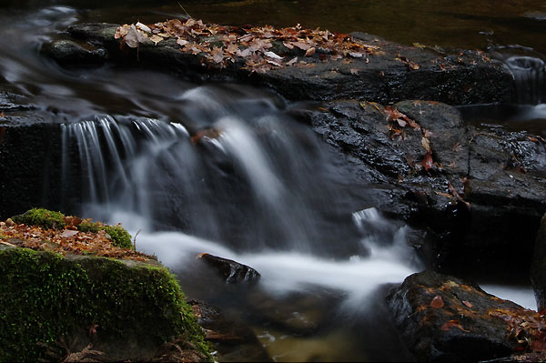 유토이미지 | 36485-0000130