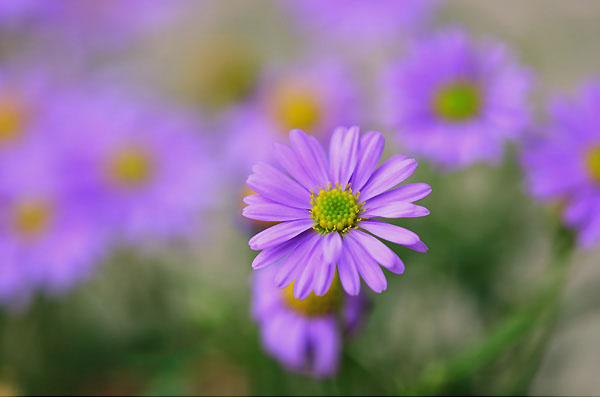 유토이미지 | 36494-0000008