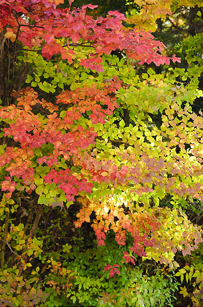 유토이미지 | 36516-0000042