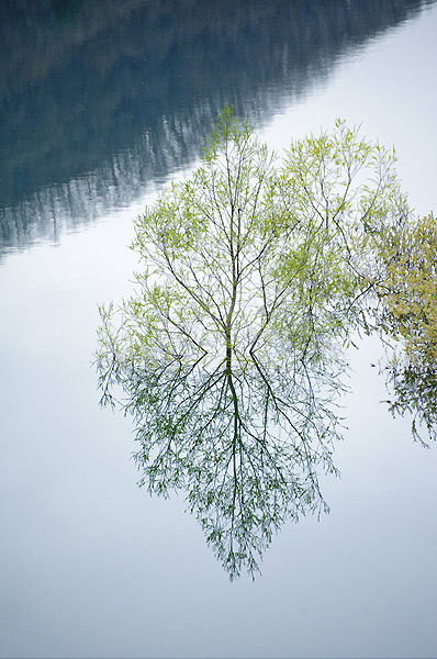 유토이미지 | 36516-0000140