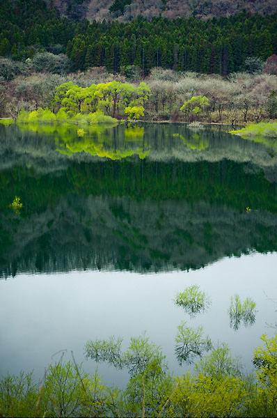 유토이미지 | 36516-0000142