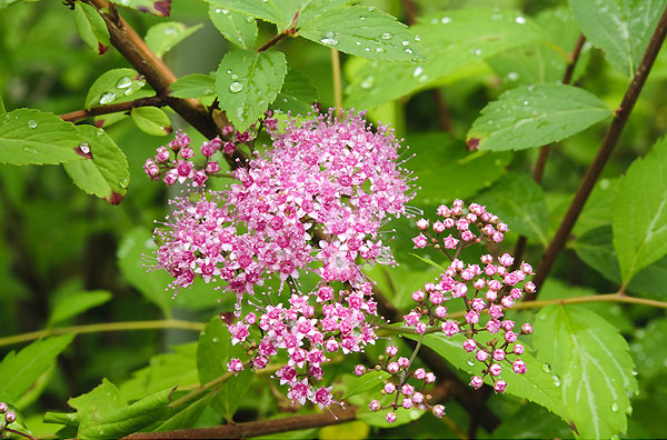 유토이미지 | 36516-0000229