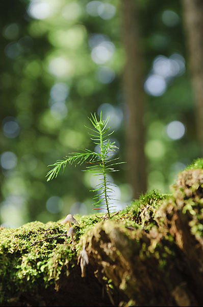 유토이미지 | 36516-0000248