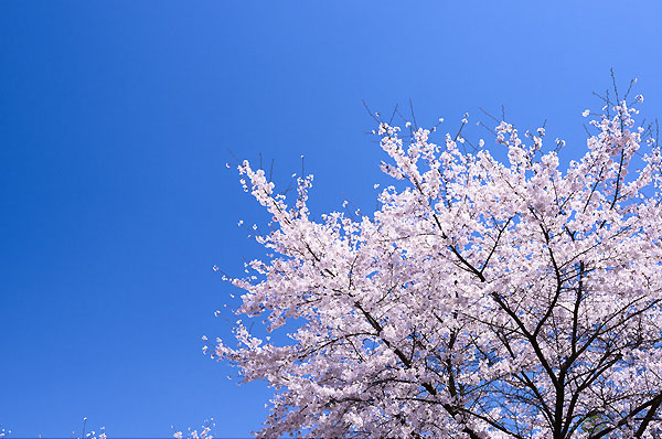 유토이미지 | 36516-0000454