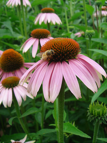 유토이미지 | 36547-0000009