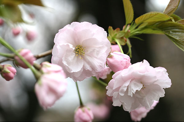 유토이미지 | 36548-0000003