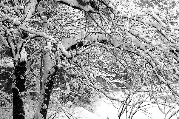 유토이미지 | 36548-0000004