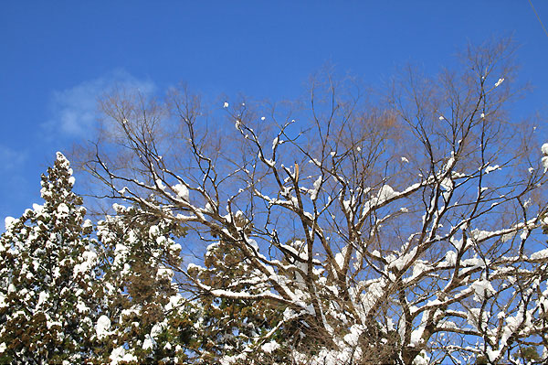 유토이미지 | 36548-0000036