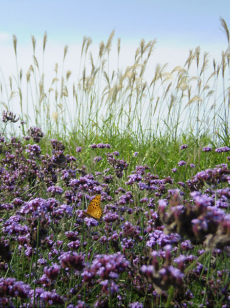 유토이미지 | 36581-0000034