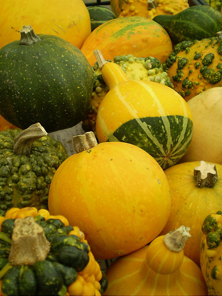 유토이미지 | 36581-0000042