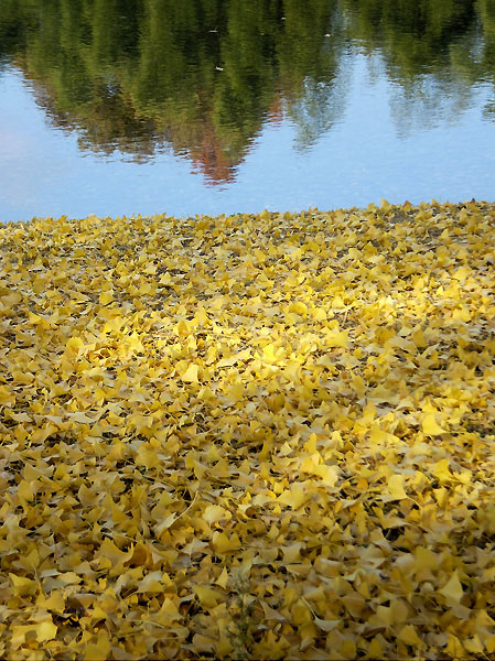 유토이미지 | 36581-0000075