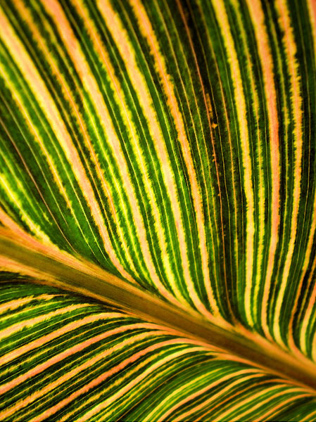 유토이미지 | 36581-0000293