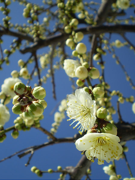 유토이미지 | 36581-0000395