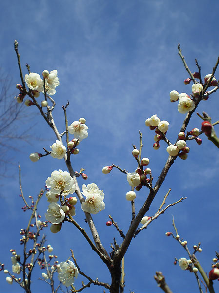 유토이미지 | 36581-0000405