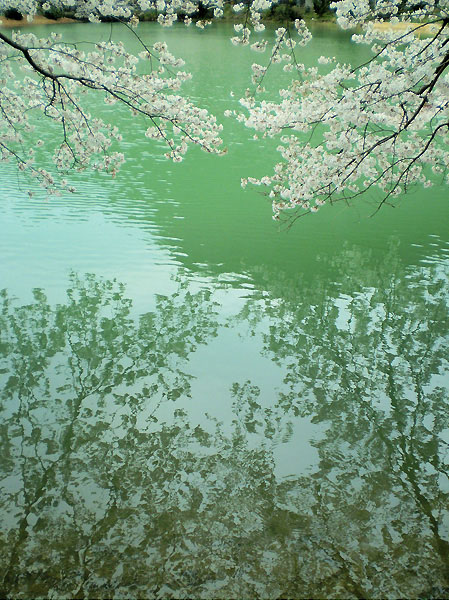 유토이미지 | 36581-0000509