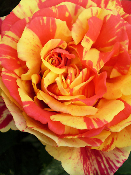 유토이미지 | 상세페이지 | 베이직샵 | 16114619 | 36581-0000595