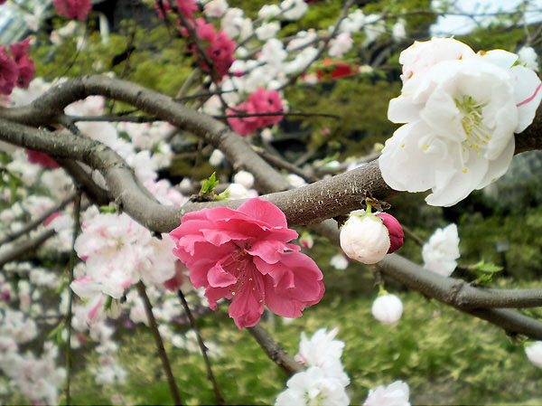 유토이미지 | 36581-0000607