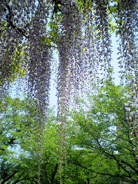 유토이미지 | 36581-0000754