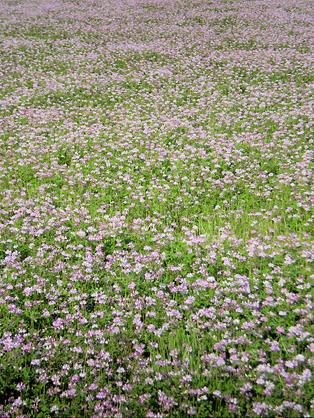 유토이미지 | 36581-0000848