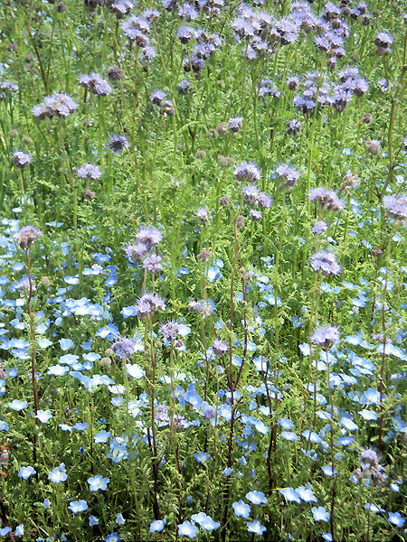 유토이미지 | 36581-0000862