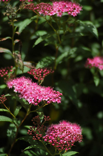 유토이미지 | 36581-0000905