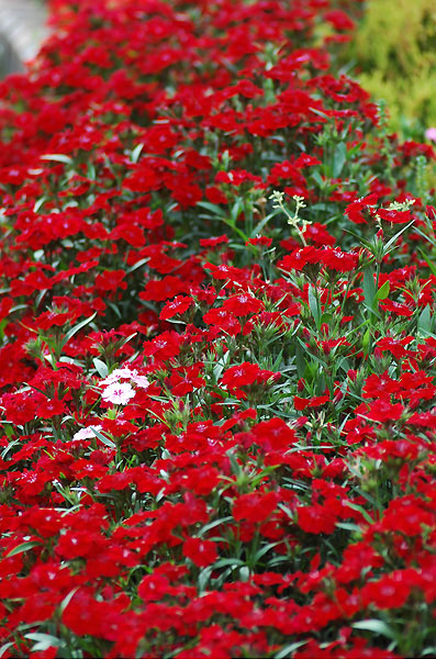 유토이미지 | 36581-0000946