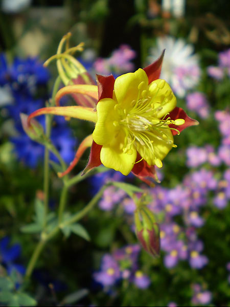 유토이미지 | 36581-0000973