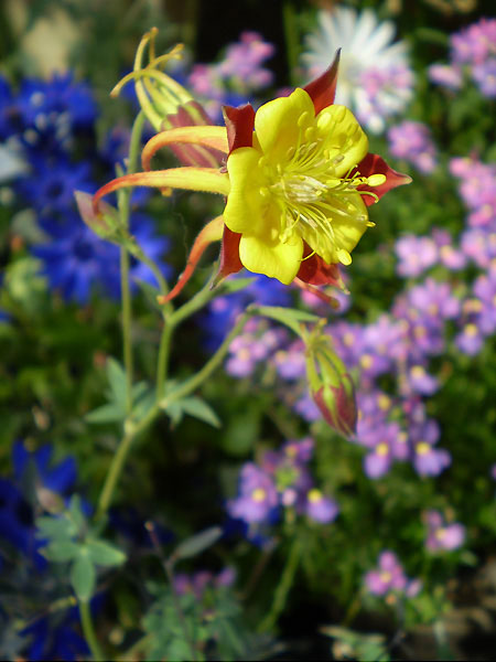 유토이미지 | 36581-0000978