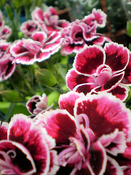 유토이미지 | 36581-0001018