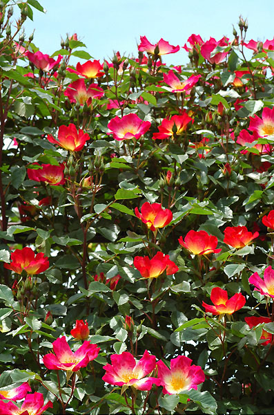 유토이미지 | 36581-0001022