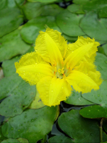 유토이미지 | 36581-0001088