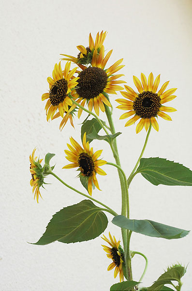 유토이미지 | 36581-0001130