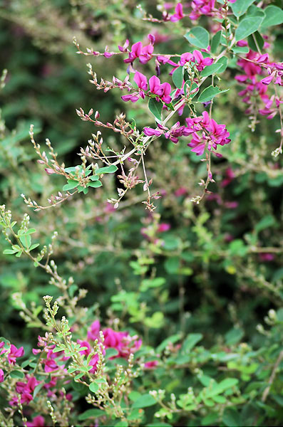 유토이미지 | 36581-0001223