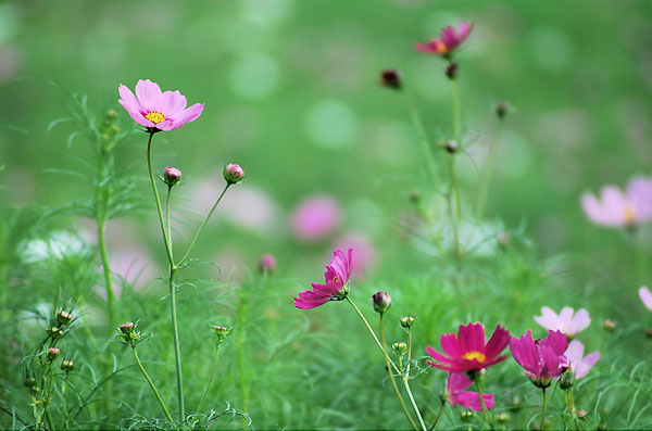 유토이미지 | 36581-0001228