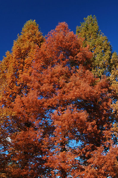 유토이미지 | 36581-0001376