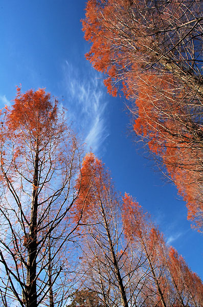 유토이미지 | 상세페이지 | 베이직샵 | 16118260 | 36581-0001404
